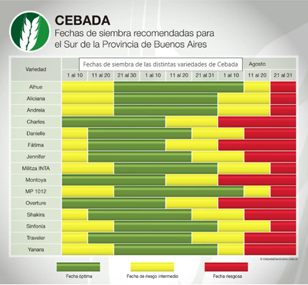 Siembra de cebada: Planificación y aspectos técnicos a tener en cuenta
