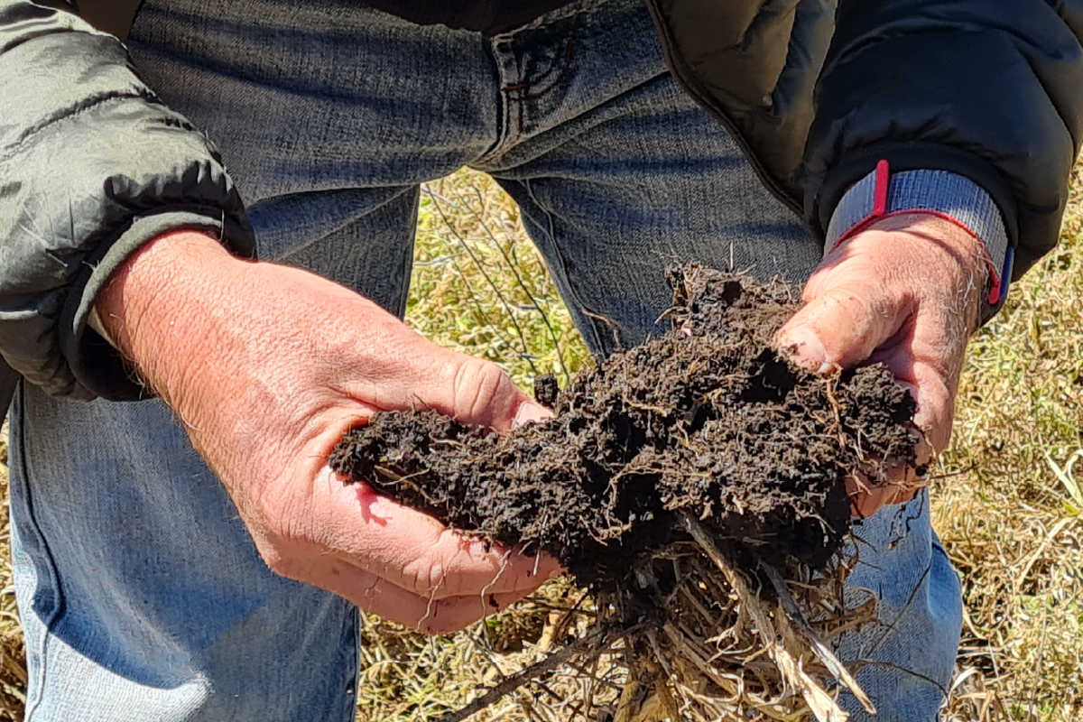 El análisis de suelo, más eficiente con tecnología digital